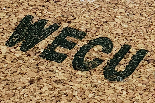 Choosing the Best Cork Underlayment | Blog | WECORK Blog